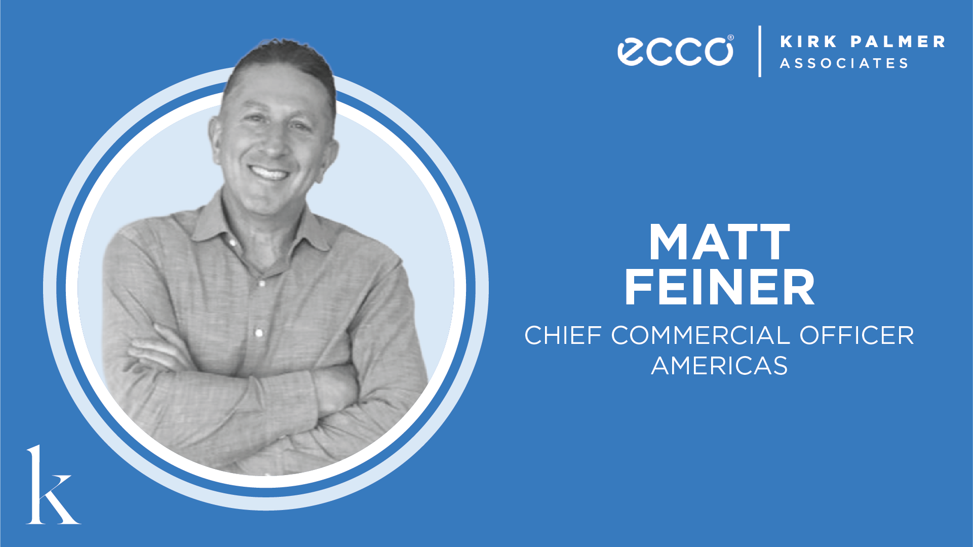 Executive Placement - Chief Commercial Officer, Americas - ECCO